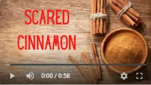 Scared Cinnamon - Science Fun