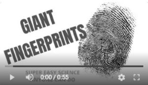 Giant Fingerprint - Science Fun