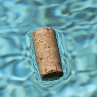 Easy Science Experiments - Science Fun