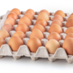 Magic Science Experiments - Science Fun